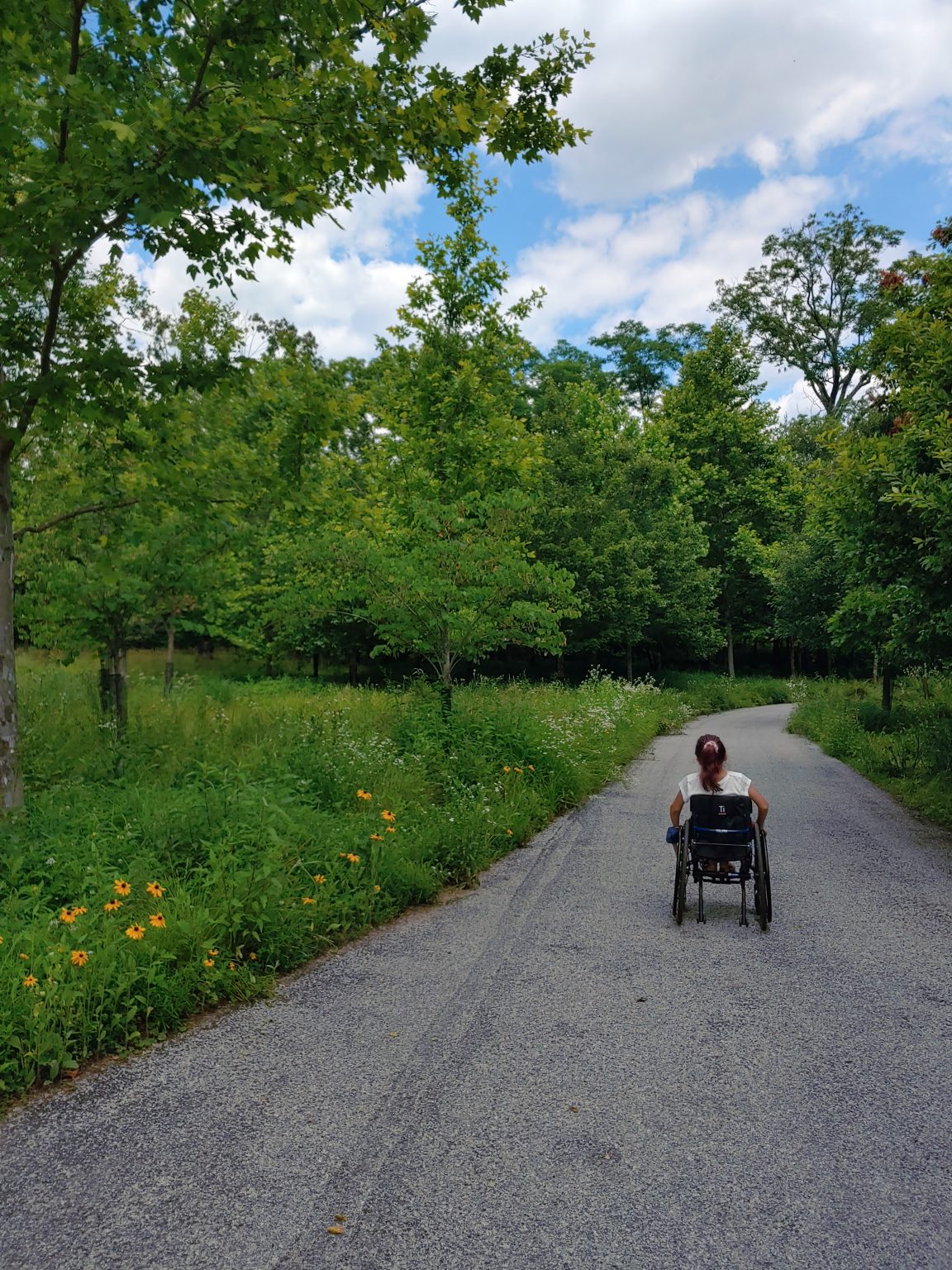 Art in a Park – The Real Anna Miller